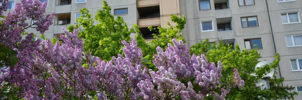 Startseite | Stadtportal Laatzen