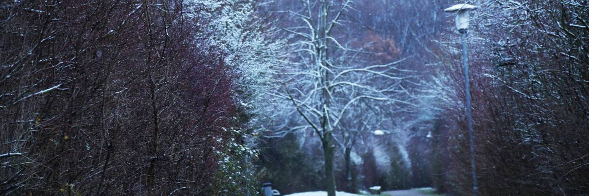 Startseite | Stadtportal Laatzen