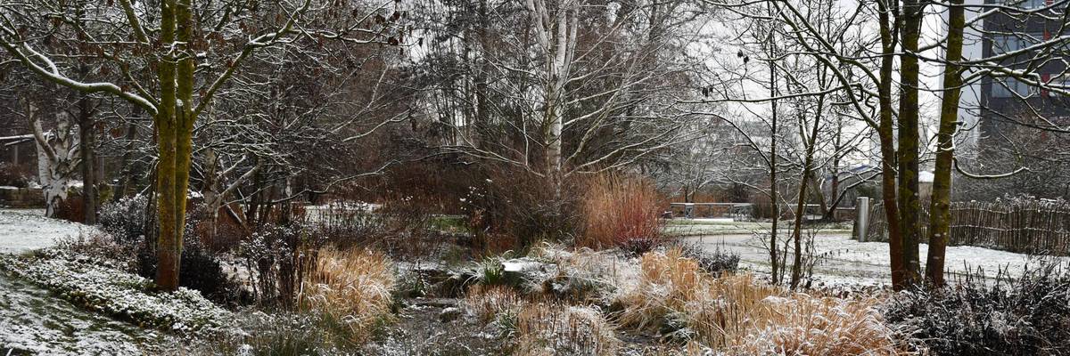 Startseite | Stadtportal Laatzen